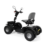 Green Transporter Cheeta Ninja All-Terrain Mobility Scooter 48V/20Ah ...