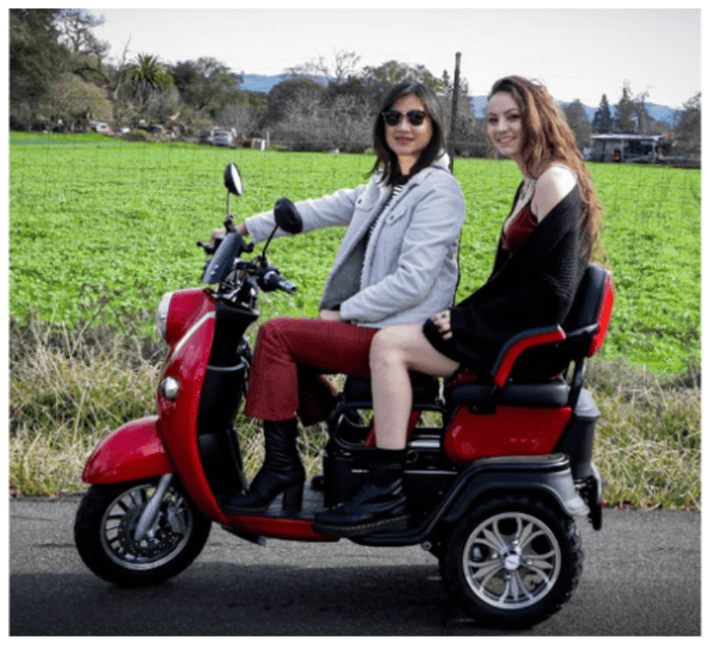 Pushpak 1000 2-Person Electric Trike Recreational Scooter — Mobility ...